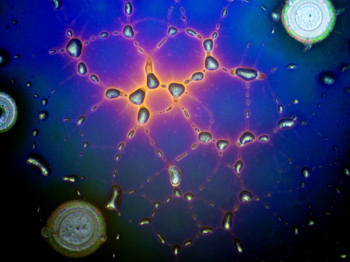 FRAME Contest | Office of the Vice President for Research